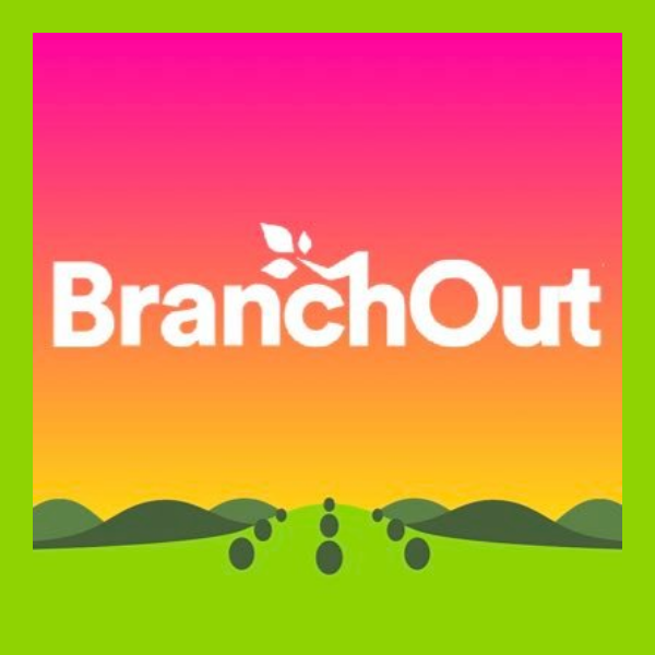 BranchOut Food Doubles Brussels Sprout Snacks to 3,945 Stores ...
