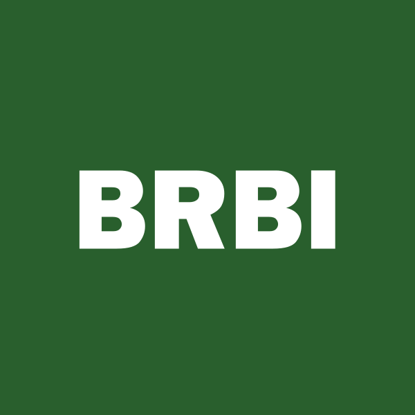 BR Partners approves 2025 profit and dividends | BRBI SEC Filing - Form 6-K