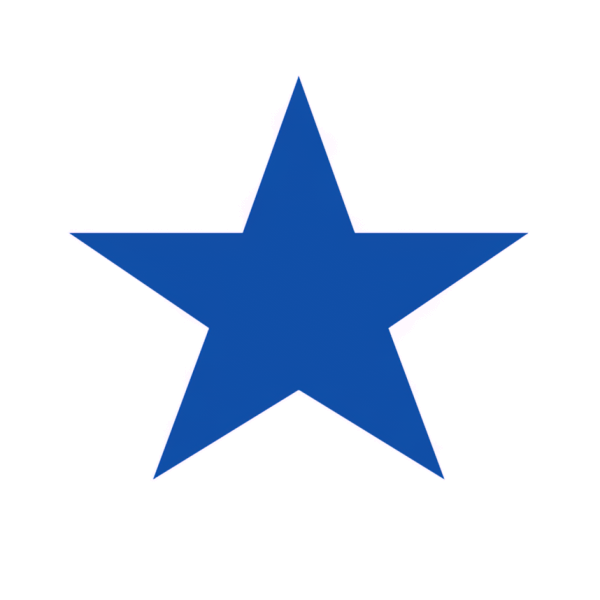 Blue Star Foods Reiterates its 2024 Forecast of At Least 65% Revenue ...