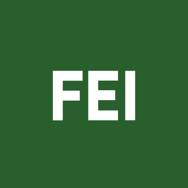 FEI - First Trust MLP & Energy Inc Fund Latest Stock News & Market Updates