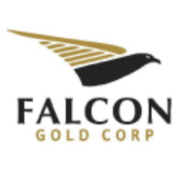 Falcon Gold Discovers New Sulphide Mineralization at Great Burnt ...