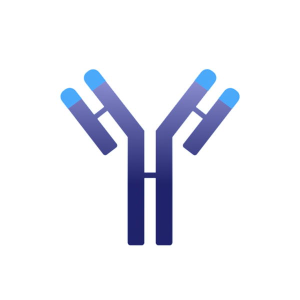 Immunovant Phase 3 MG and Phase 2b CIDP Trial Results Coming March 19 ...