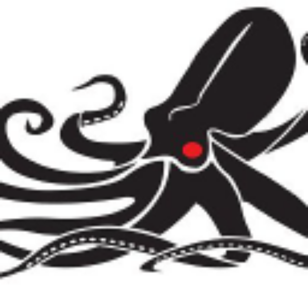 Kraken Robotics Hits 1000 Subsea Metrology Projects in Deep-Water ...