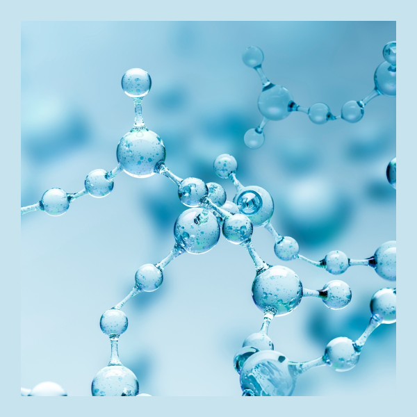 Lifecore Biomedical Names New CCO to Drive CDMO Growth Strategy | LFCR ...