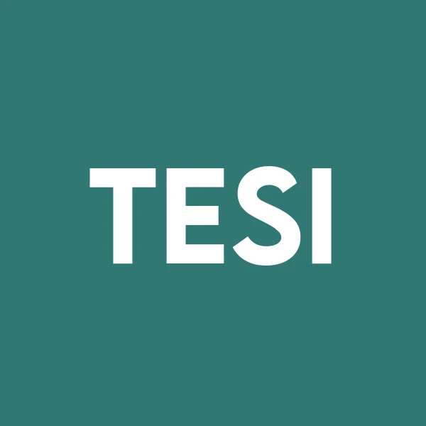 Tesi Logo WC Seat MADE For Wc TESI NUOVO (NEW) IDEAL STANDARD Model.