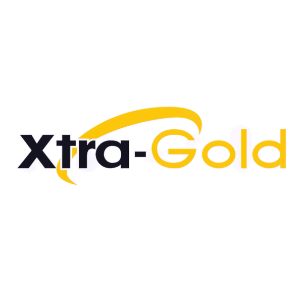Xtra-Gold Adds 4th Drill Rig, Cuts Exploration Costs by 80% | XTGRF ...
